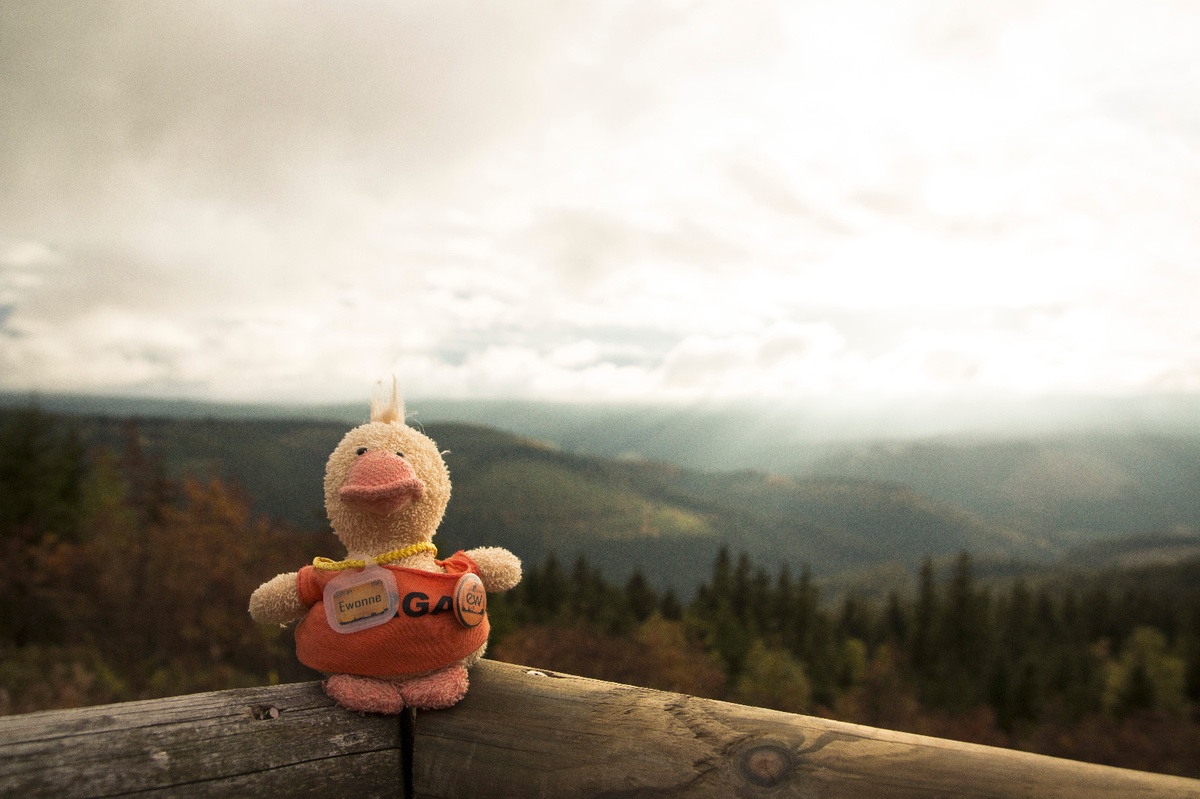 EWO Workshopday 2023